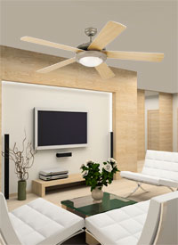 The best fan choice for your room