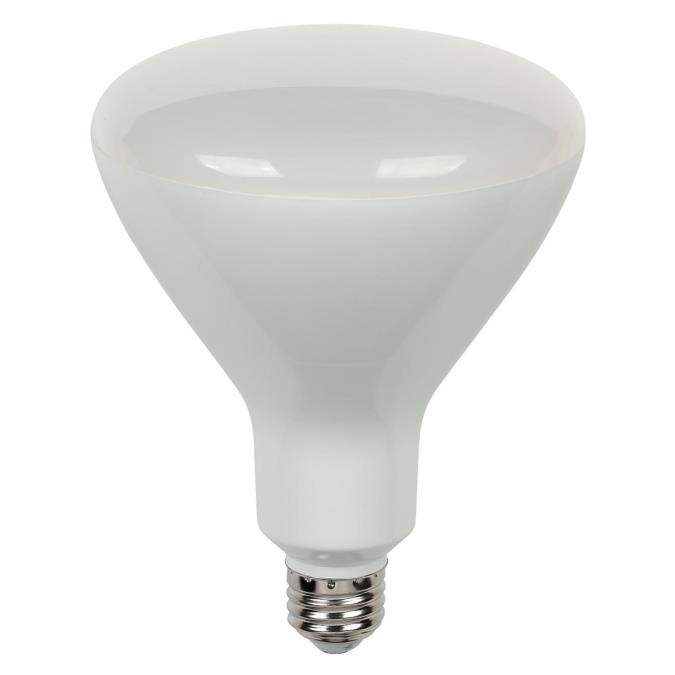 R40 Light Bulb Dimensions | Shelly Lighting