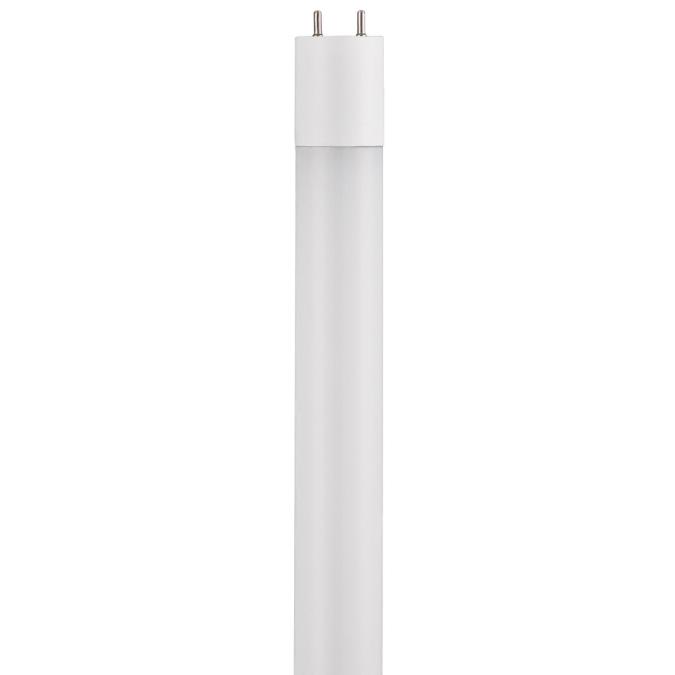 Westinghouse Lighting T8 10-Watt (3-Foot) Medium BiPin Cool White ...