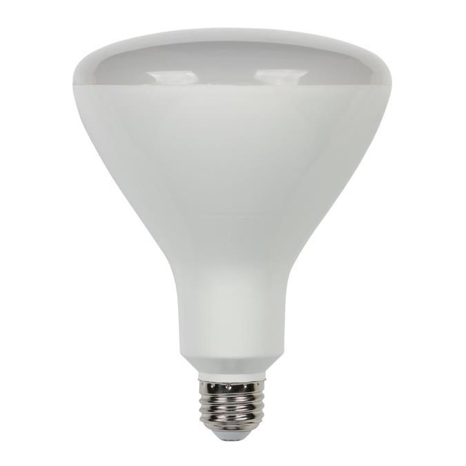 R40 Light Bulb Dimensions | Shelly Lighting