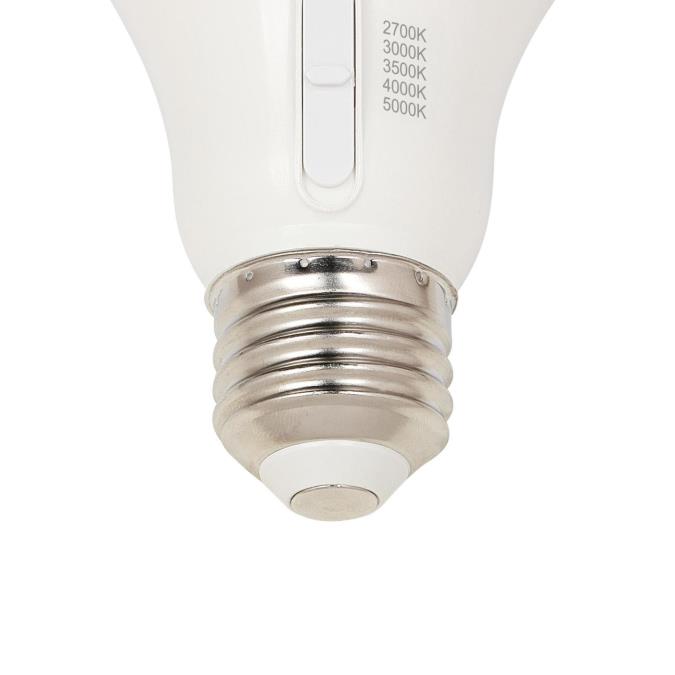 Westinghouse Lighting Omni A19 Dimmable 9-Watt (60-Watt Equivalent ...
