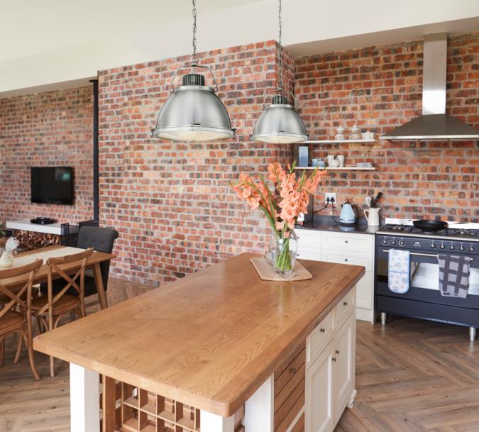 Westinghouse Lighting Danzig One-Light Indoor Pendant, Brushed Nickel ...