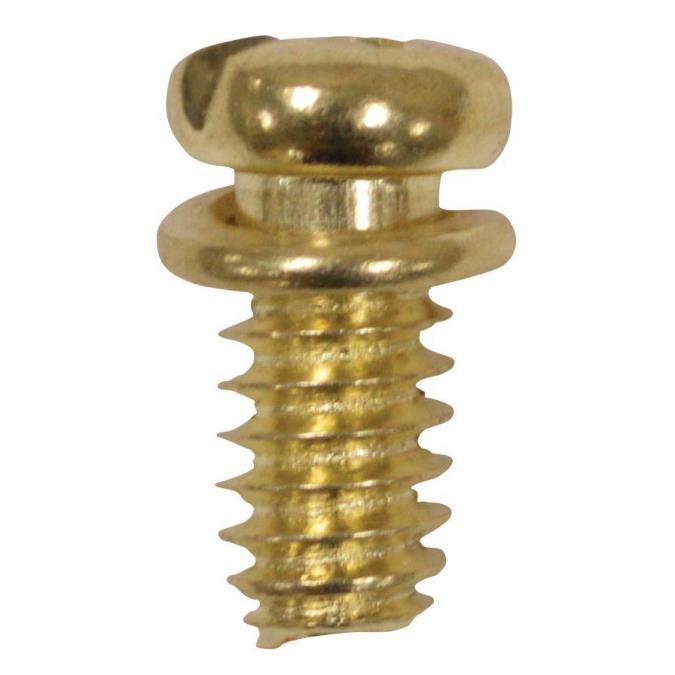 Westinghouse 10 Piece Brass Motor Screw Kit